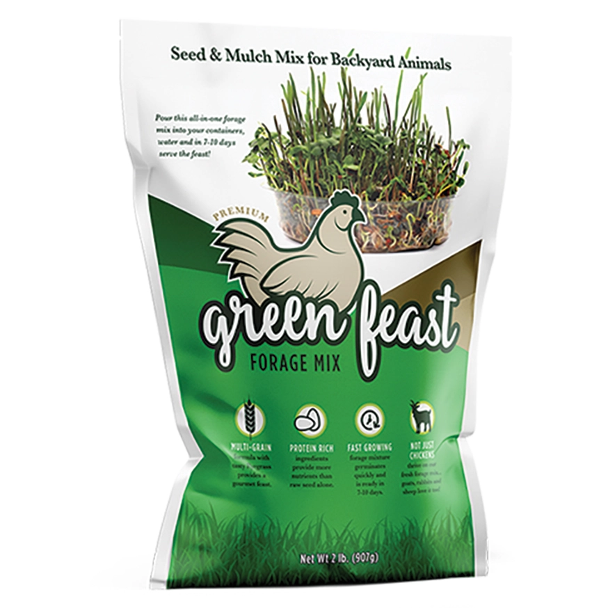 AmTurf Green Feast Forage Mix, 2 lb. - Runnings