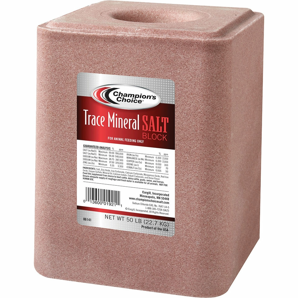 Champions Choice 50 Lb. Plain Salt Block - 0000003124 - Runnings