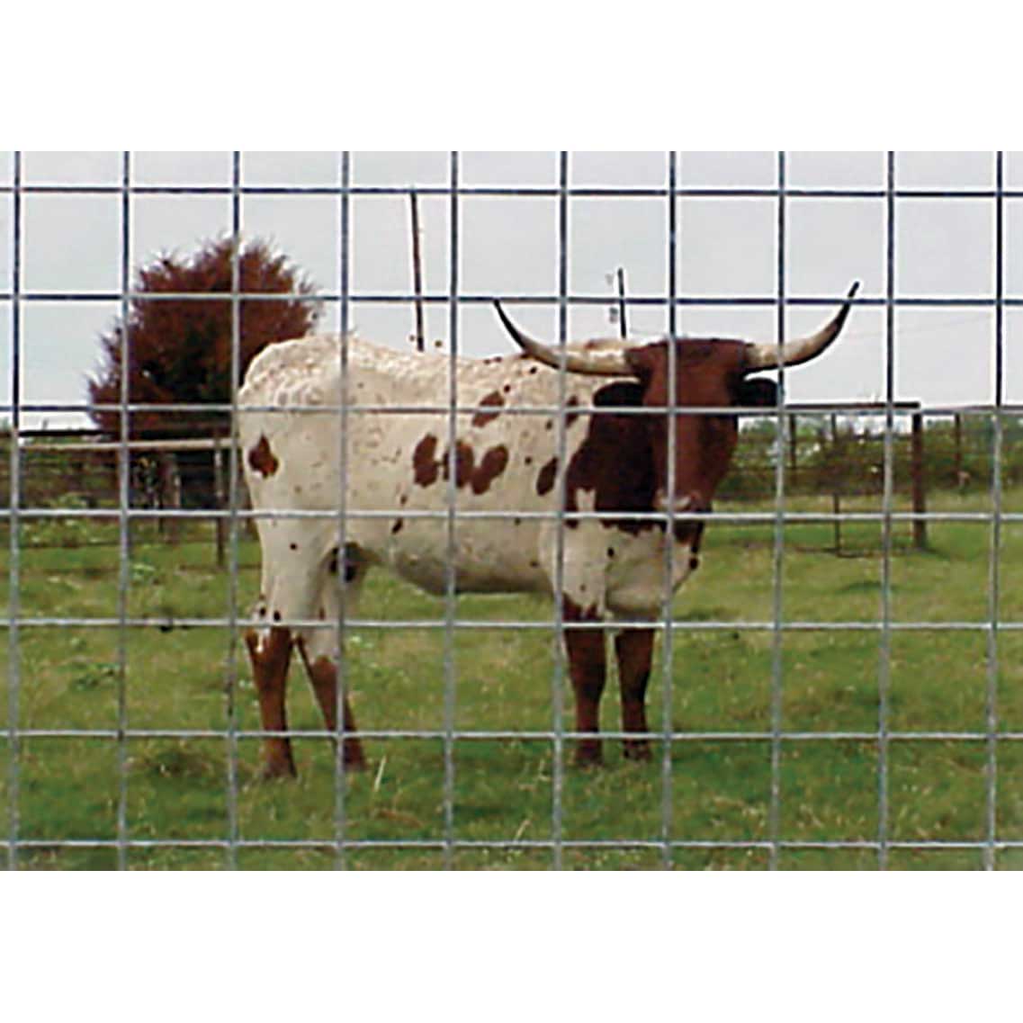 Wire Cattle Panel, 50" x 16', 10 line panel - 0000000595 - Runnings