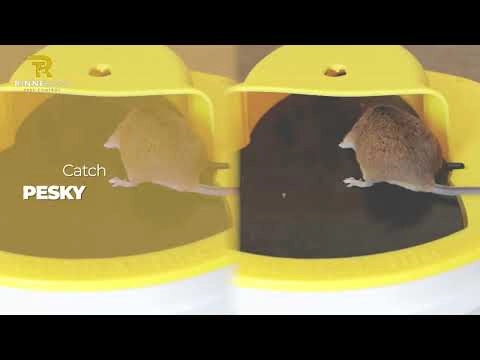 RINNE TRAPS Flip N Slide Bucket Lid Mouse Trap - Multi Catch ...