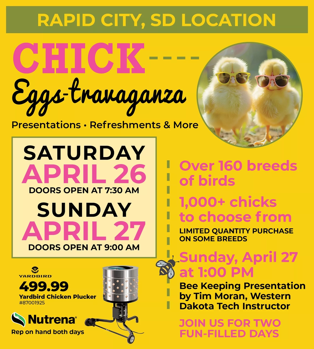 Rapid City Events - Runnings